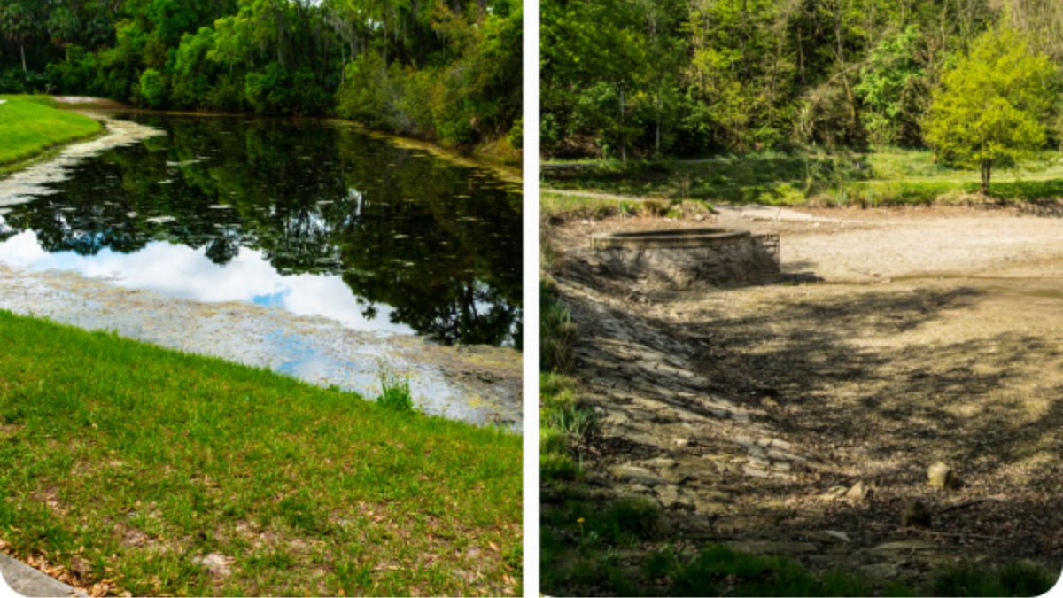 Bassin de rétention vs bassin de rétention : principales différences e