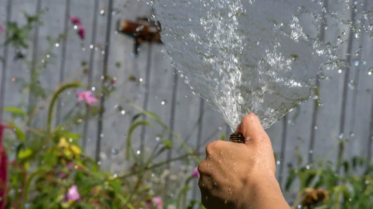Guide d'irrigation des bassins | Réutiliser l'eau du bassin pour les ...